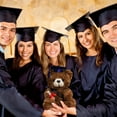 1 Pc Graduation Stuffed Animal Plush Toy — 7.1in Tall, Soft Souvenir ...