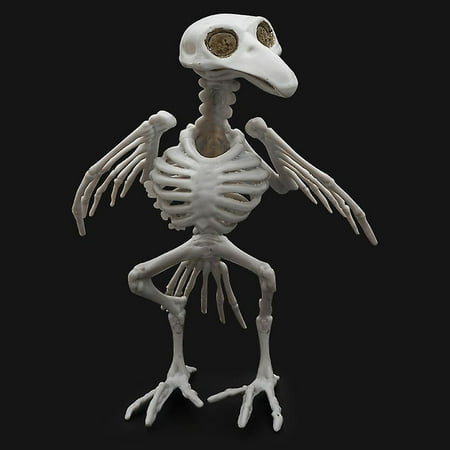 Betterlifefg-crow Skeleton Bones Movable Bones Skeleton For Haunted ...