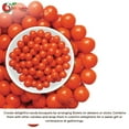 NY SPICE SHOP Sixlets Candy - Red Sixlets Candy - Sixlets Day Candy ...