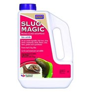 Bonide 1.5 lbs. Outdoor Bug & Slug Killer - Organic Insecticide for ...