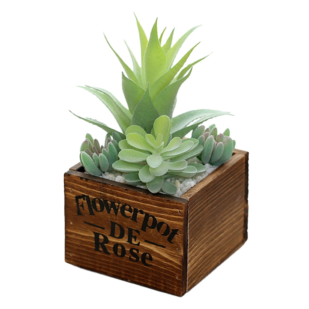 Planta en maceta carnosa del pote de madera cuadrado de Laklulu, bonsái ...