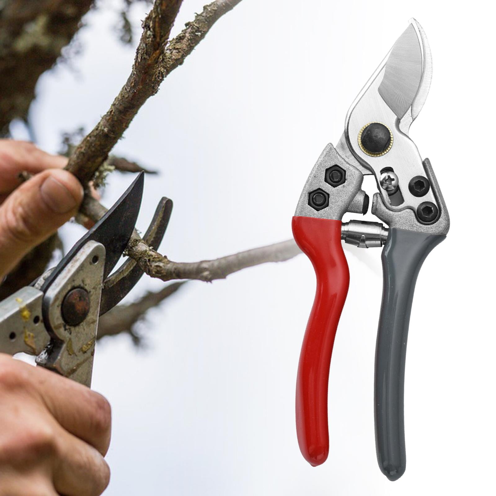 Pruning shear Rose Flower Hedge Cutter Garden Clippers for Branches ...
