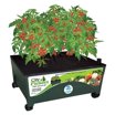 The Lakeside Collection Mobile Garden - Self Watering Planter Box with ...