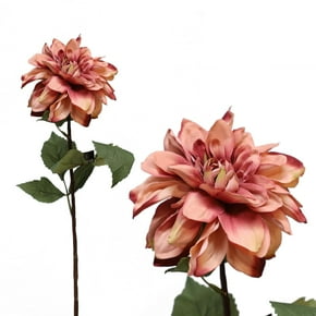 Danson Decor Inc. | Walmart Canada