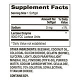 Equate Fast Acting Dairy Relief Lactase Enzyme Dietary Supplement, 12 ...