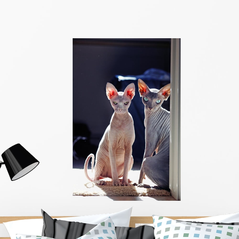 Sphynx Wall Mural Decal Sticker, Wallmonkeys Peel & Stick Vinyl Graphic ...