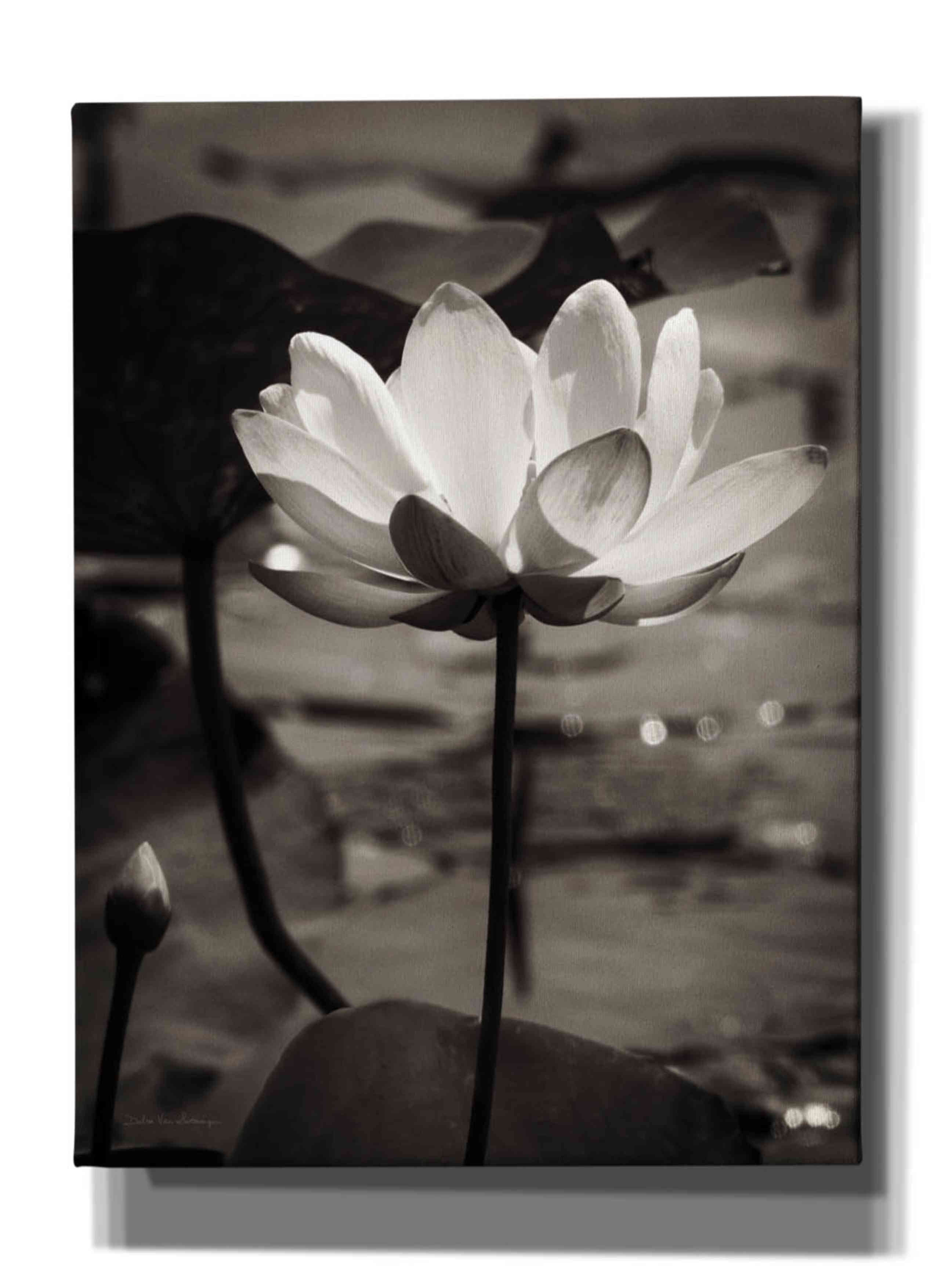 Epic Graffiti 'Lotus Flower IX' by Debra Van Swearingen, Canvas Wall ...