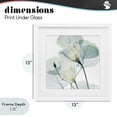 Stupell Industries Divine Fate Petals White Framed Print Under Glass ...