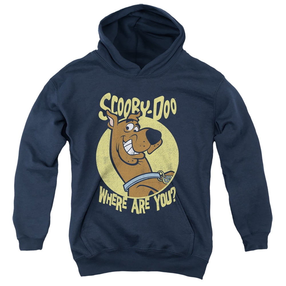 Scooby Doo - Where Are You - Youth Hooded Sweatshirt - Large - Walmart.com