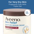 Aveeno Skin Relief Intense AKF18 Moisture Repair Body Cream with Triple Oat & Shea Butter ...