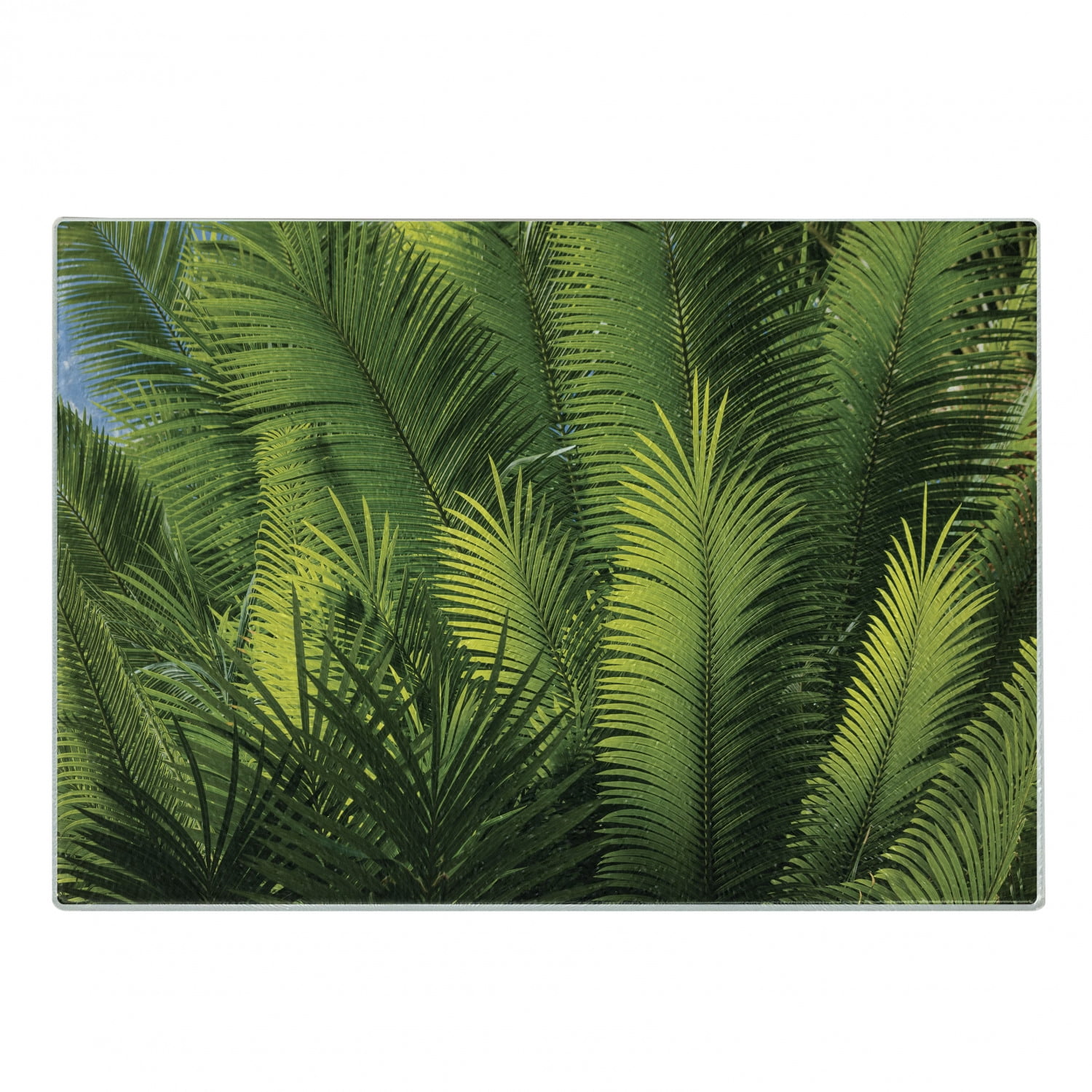 Palm Tree Cutting Board, Plam Tree Foliage Tropical Plants Leaves ...