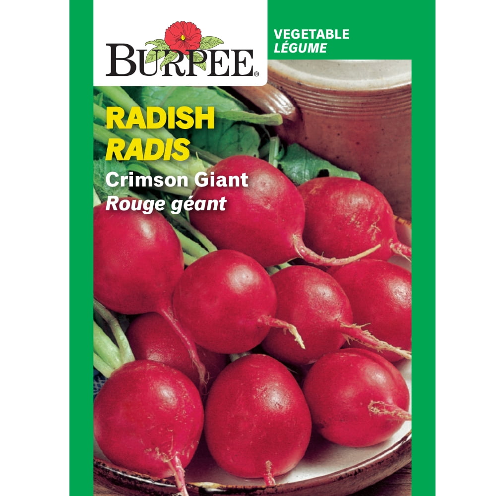 Click here for Burpee Canada Burpee Crimson Giant Radish prices