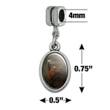 Red-Tailed Hawk Raptor Portrait Italian European Style Bracelet Oval ...