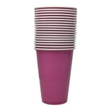 Way To Celebrate Hot Pink Plastic Disposable Cups 16 fl oz 18ct for ...