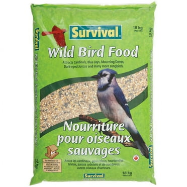 Great Value Songbird Bird Food 4kg - Walmart.ca