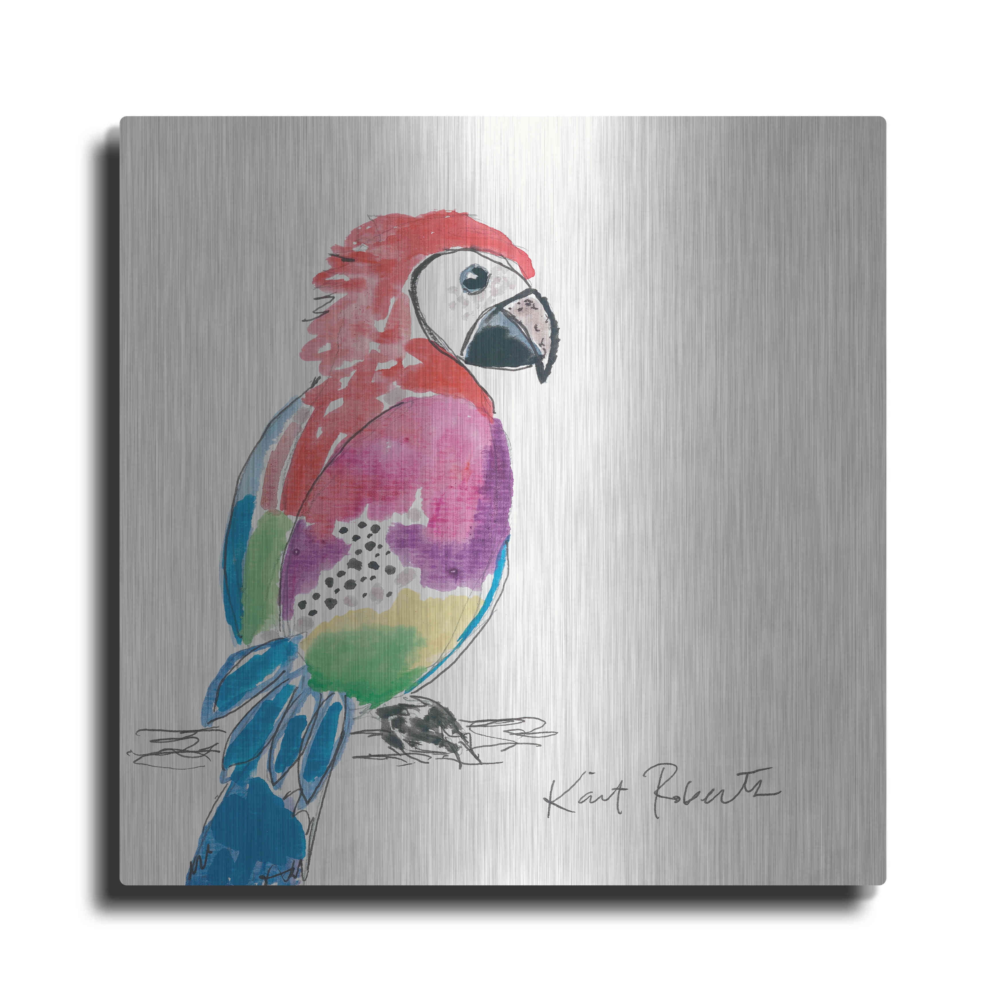 Luxe Metal Art 'Preston the Parrot' by Kait Roberts, Metal Wall Art, 12 ...