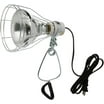 Woods 0165 Brooder Lamp with Bulb Guard,10.5 Inch Reflector and 6 Foot ...