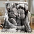 1pc Cozy Shorthair Bed Blanket - Portable Lightweight Fleece Throw with ...
