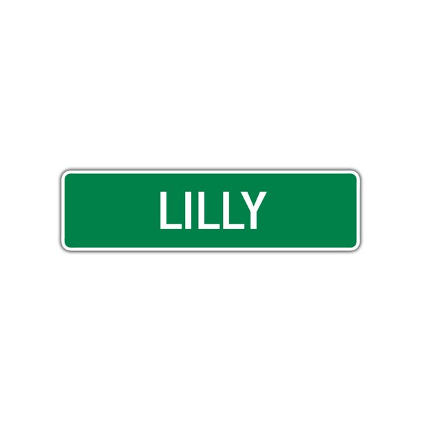 Lilly Girls Children Name Decoration Label Indoor Outdoor Unique Wall ...