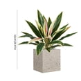 Agiufgs Artificial Agave Plant 20.47, Lifelike Plastic Decor, for Shelf ...