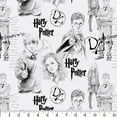 Eugene Textiles Premium 100% Cotton 44" Harry Potter Magic Print Fabric ...