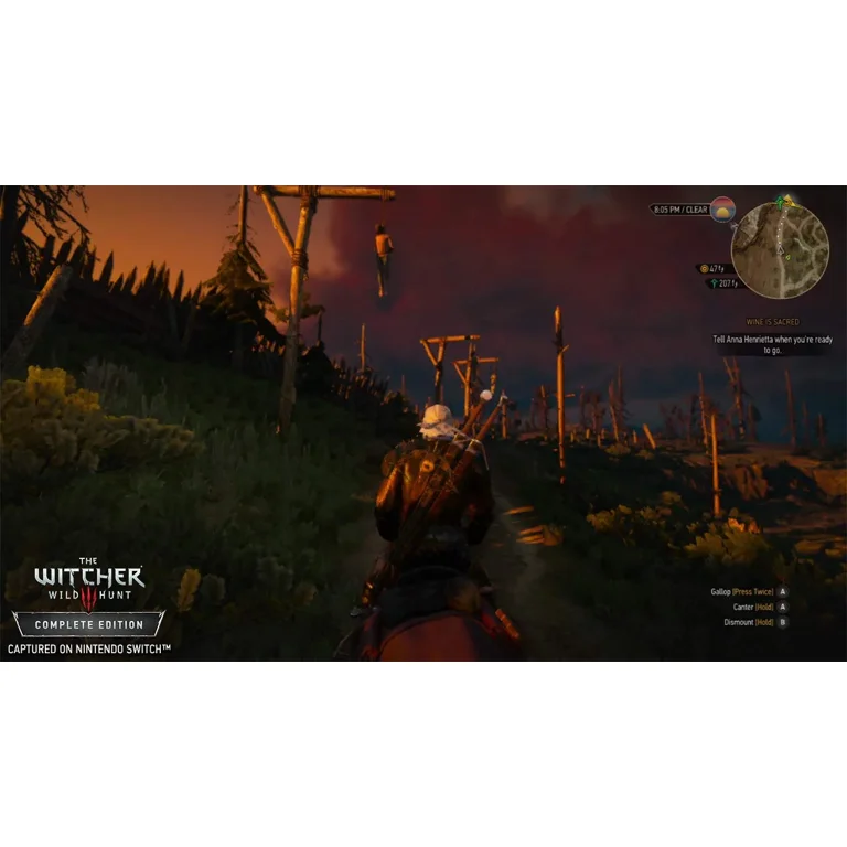 Witcher 3 Warner Brothers Wild Hunt Nintendo Switch