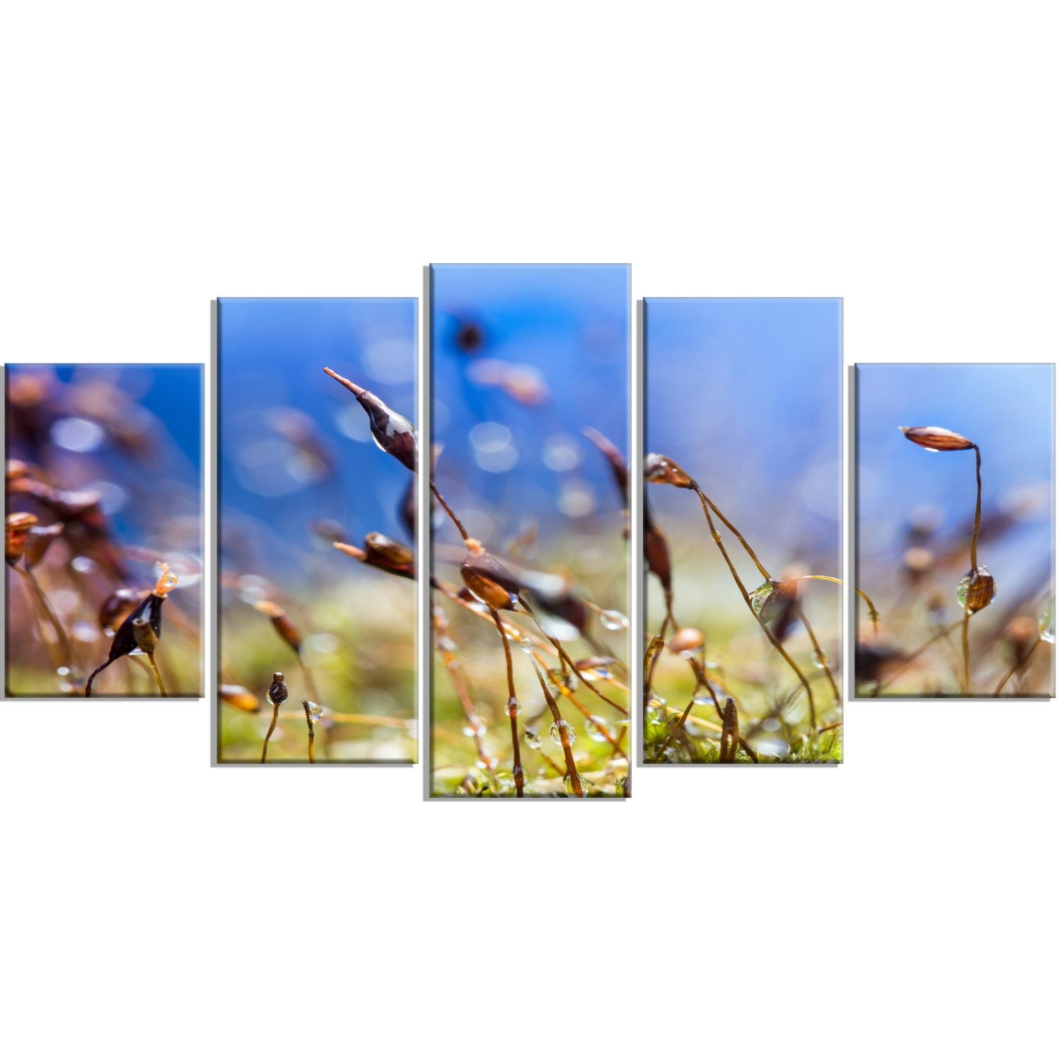 Click here for Designart Design Art Summer Spring Moss Flowers Ca... prices