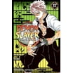 Demon Slayer: Kimetsu no Yaiba: Demon Slayer: Kimetsu no Yaiba, Vol. 10 ...