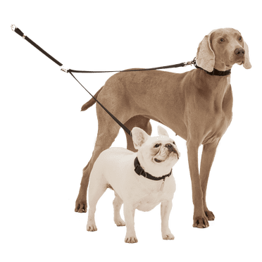 10" Long Nylon 2-Way Double Dog Leash - Two Dog Coupler Black 4 Sizes ...