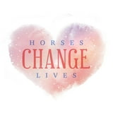 Breyer Traditional Limited Edition Horse of The Year - Hope - Walmart.com