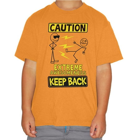 LICENSE - Boys' Humor Graphic Tee - Walmart.com