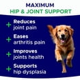 Glucosamine for Dogs Hip & Joint Supplement - Chondroitin, Omega-3, MSM ...