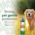 Vet's Best Flea & Tick Waterless Bath Foam for Dogs 8 oz Peppermint ...
