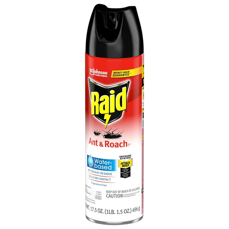 Raid Bug Killer Spray