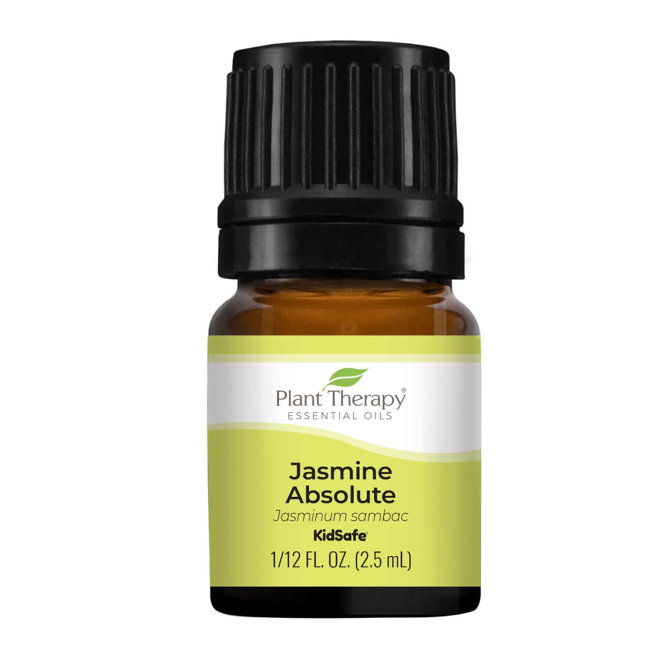 Plant Therapy Jasmine Absolute Essential Oil 100% Pure, Undiluted ...