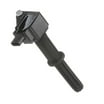 Delphi GN10114 Ignition Coil - Walmart.com
