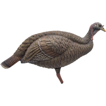 HUNTERS SPECIALTIES HS Strut Lite Flock Jake & Feeding Hen & Upright ...