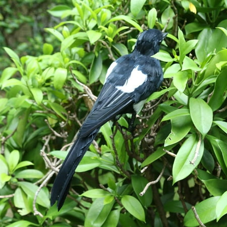 Black Artificial Magpie Bird Feather Decor | Walmart Canada