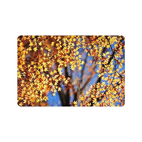 CADecor Autumn Maple Leaves Door Mat Home Decor, Fall Prime Indoor ...