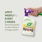 Garden Safe Fungicide 3 Concentrater, 28 oz, Controls Fungus & Insects ...
