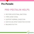 Vetoquinol Pro-Pectalin, Dog & Cat Medicine, 250 ct Pills - Walmart.com