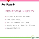 Vetoquinol Pro-Pectalin, Dog & Cat Medicine, 250 ct Pills - Walmart.com
