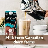 Natrel Plus Chocolate Milk, 2 L - Walmart.ca