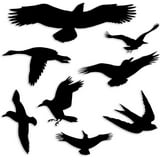 Homarden | Bird Blinder Blackbird Window Stickers - 24 Pack Anti Strike ...