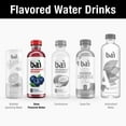 Bai Flavored Water, Brasilia Blueberry, Antioxidant Infused Drinks, 18 ...