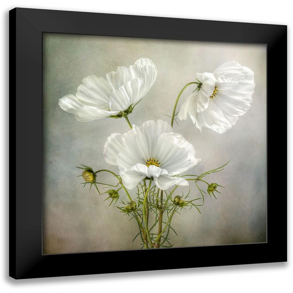 Disher, Mandy 20x20 Black Modern Framed Museum Art Print Titled ...