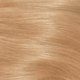 Revlon ColorSilk Ammonia-Free Permanent Hair Dye, Warm Golden Blonde, 1 ...