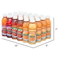 Tropicana 3 Flavor Classic Variety Pack Juice Shelf-Stable Juice Drinks ...