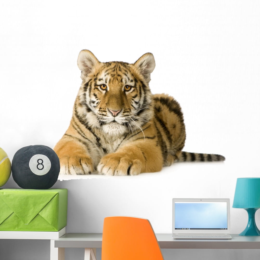 Tiger Cub 5 Months Wall Decal Sticker by Wallmonkeys Vinyl Peel and ...