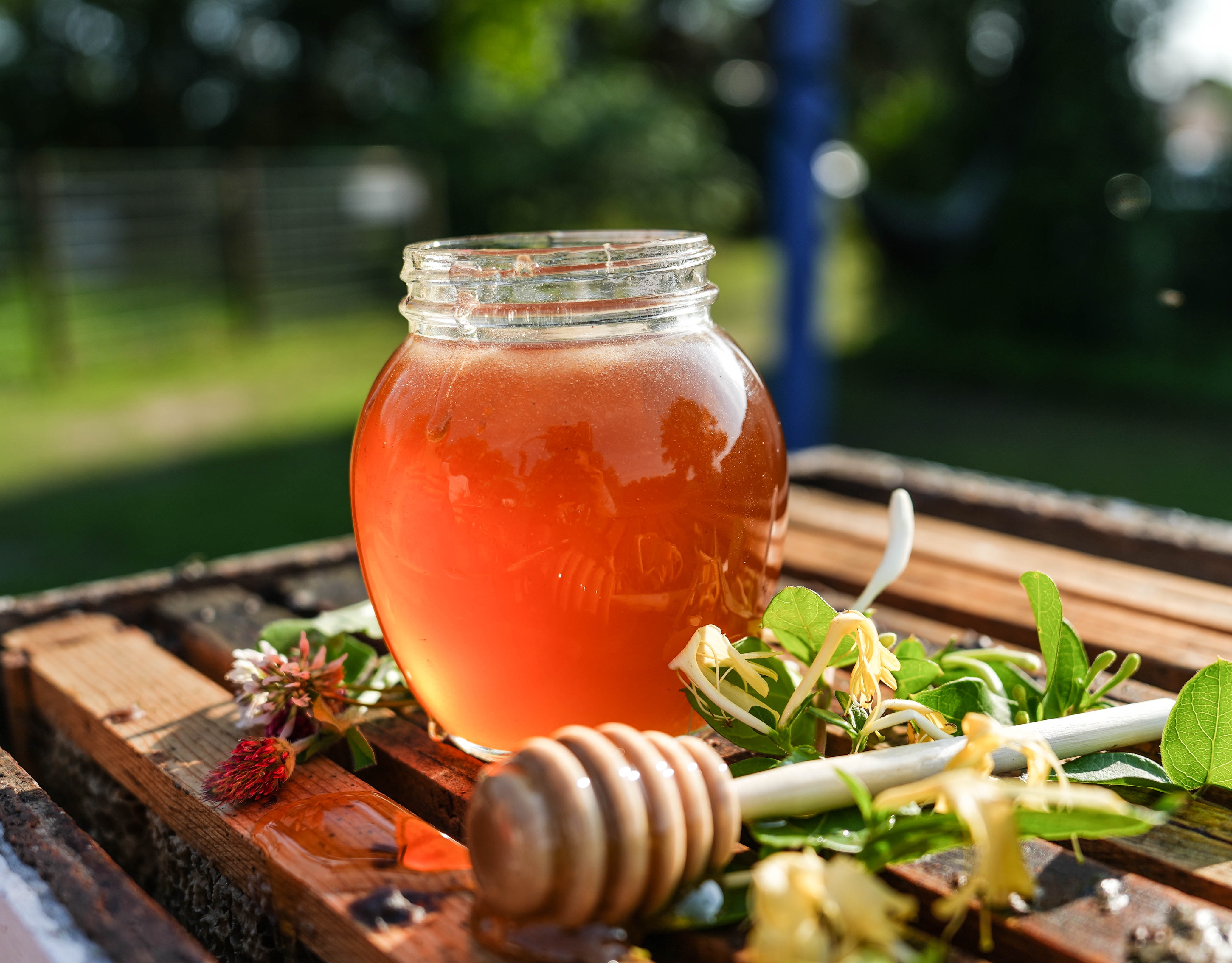 Raw & Unfiltered Honey Southern Wildflower Honey Lot #1-2023 - Walmart.com